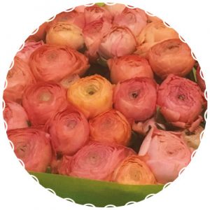 RICH LUXURY FLOWERS | Ranunculus